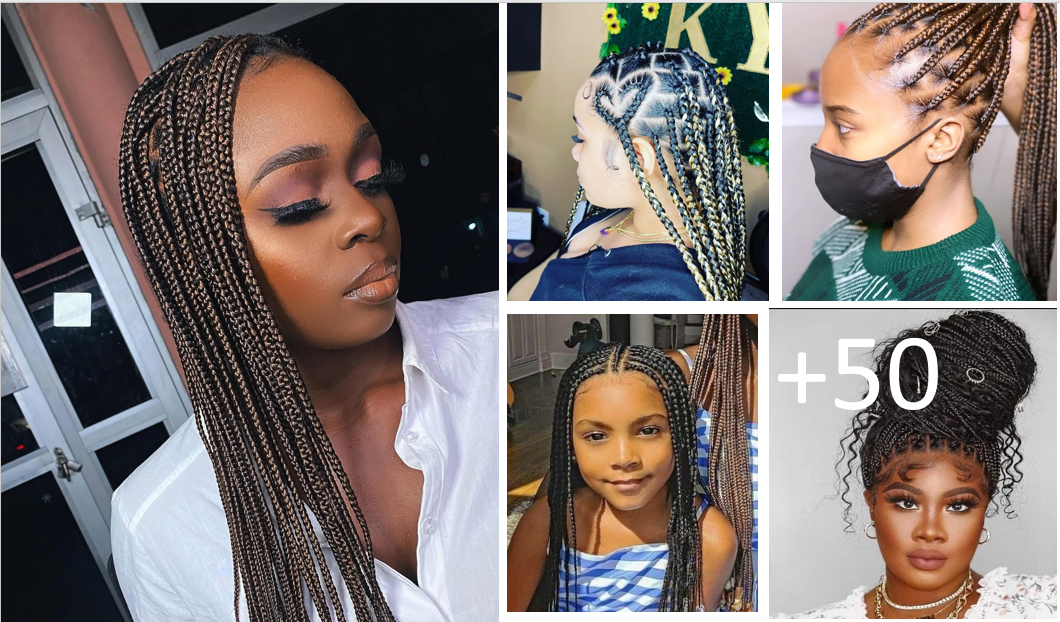 Tresses fascinantes : Un aperçu captivant +50 coiffures à admirer en images